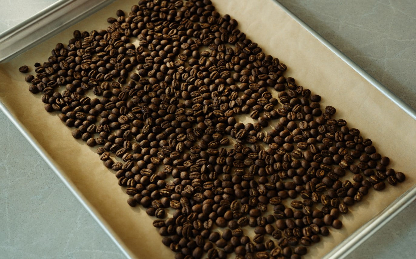 Kloo - Sommelier-Crafted Coffee Concentrate